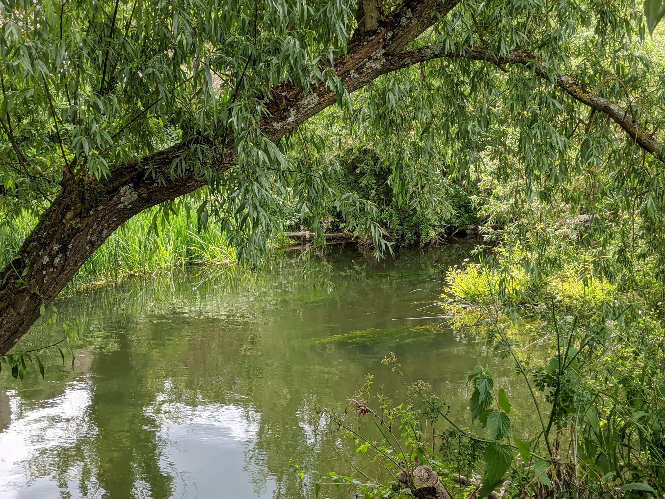 Register - Supply Tree Recruitment